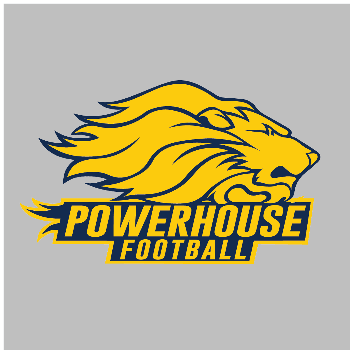 Powerhouse Football – Page 2 – GEAR50